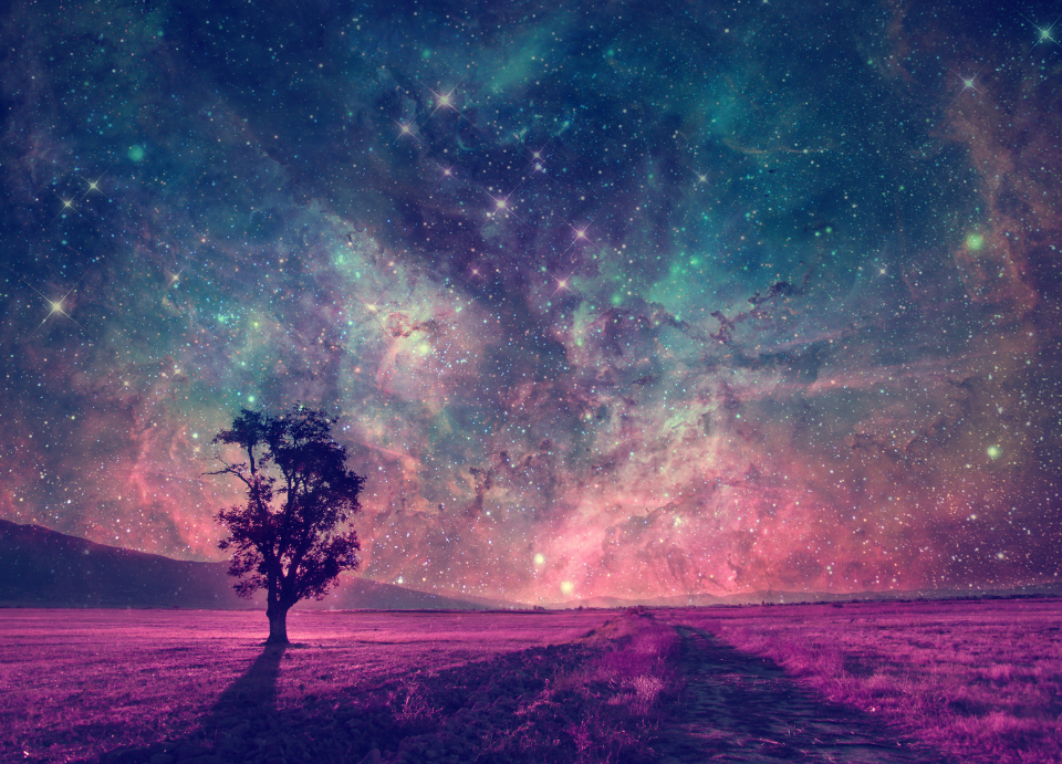 What Is A Starseed Spiritual Awakening Signs What Is A Starseed Spiritual Awakening Signs